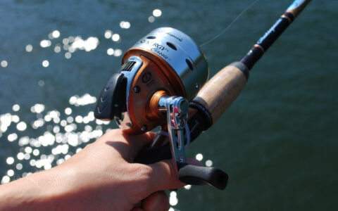DEC Unveils 2026 Free Fishing Days – Finger Lakes Daily News