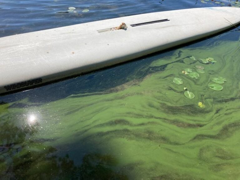 HABs Close Beaches in Ontario County – Finger Lakes Daily News