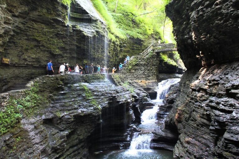 New Record Attendance Set at Watkins Glen State Park in 2024 – Finger ...