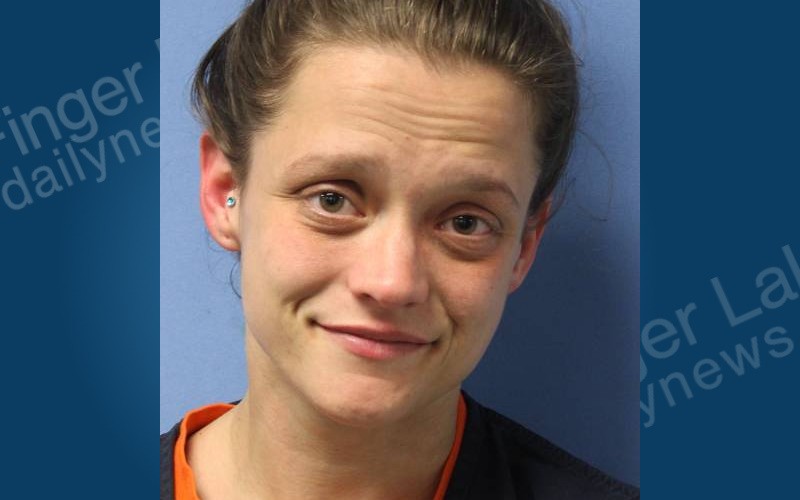 Wayne County Mom Accused of Driving Drunk With 2-Year-Old Son in Car ...