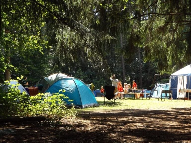 DEC Offering Jobs at Summer Camps – Finger Lakes Daily News