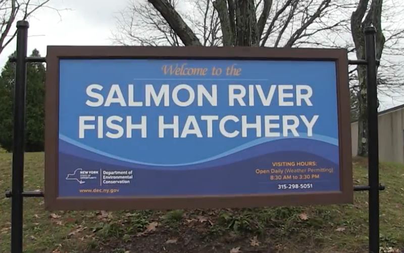 DEC to Host 25th Salmon River Fish Hatchery Open House in Oswego County ...