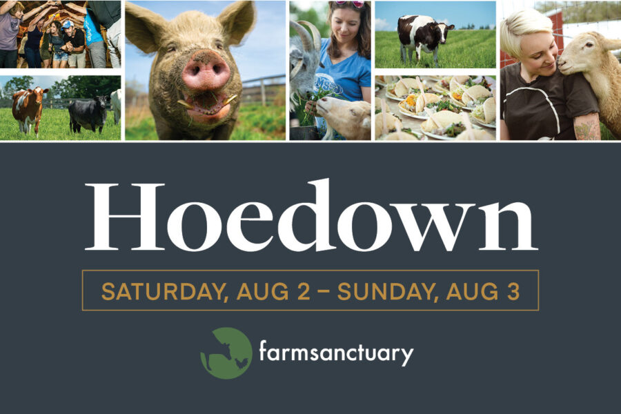 Farm Sanctuary Hoedown Weekend – Finger Lakes Daily News