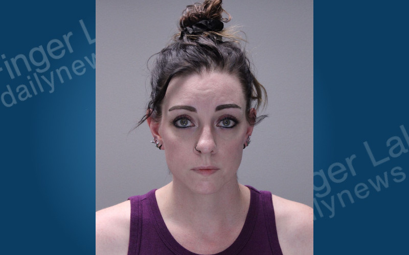 Farmington Woman Accused of Receiving $17K in DSS Benefits She Wasn’t ...