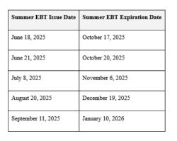 NY Summer EBT Benefits Expire on Friday – Finger Lakes Daily News